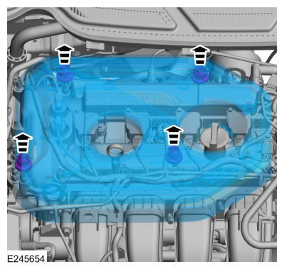 Ford Ecosport - Removal and Installation - Cylinder Head Temperature ...